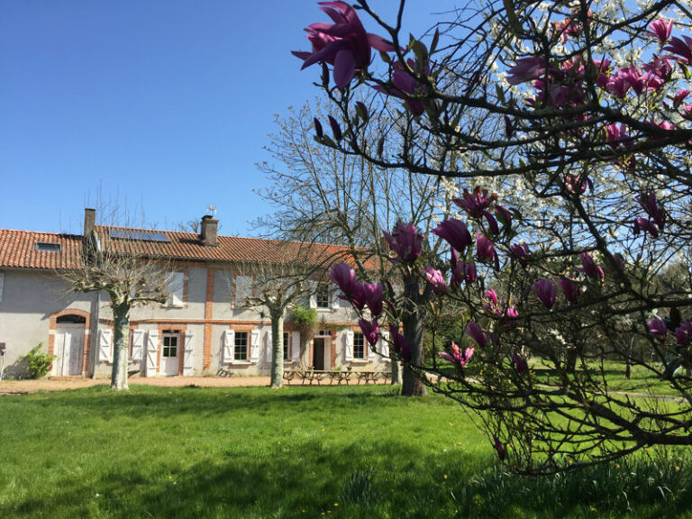 Création d'un nouveau collectif - La Matasse